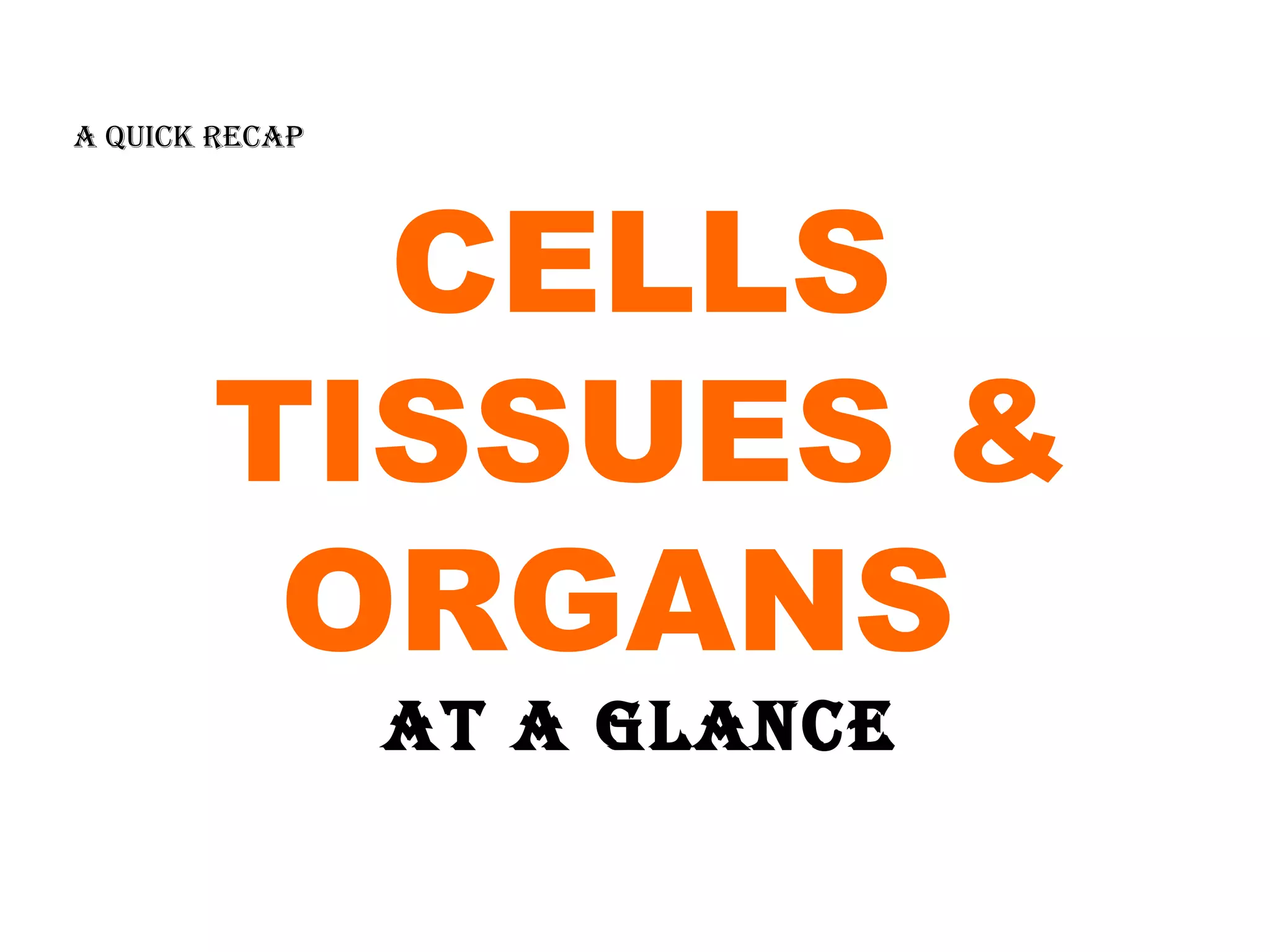 CELL-TISSUES-ORGANS AT A GLANCE | PPT | Biological Sciences | Science