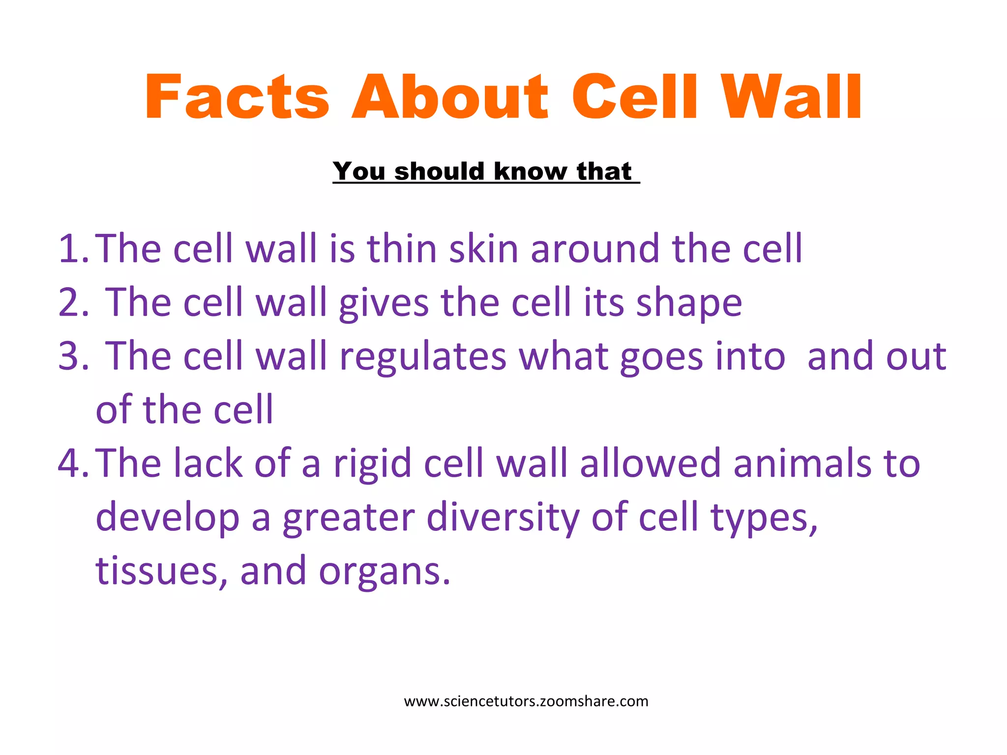 CELL-TISSUES-ORGANS AT A GLANCE | PPT | Biological Sciences | Science