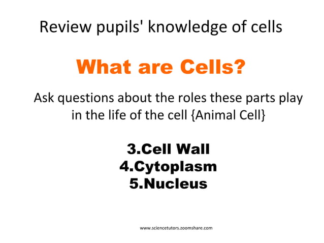 CELL-TISSUES-ORGANS AT A GLANCE | PPT | Biological Sciences | Science