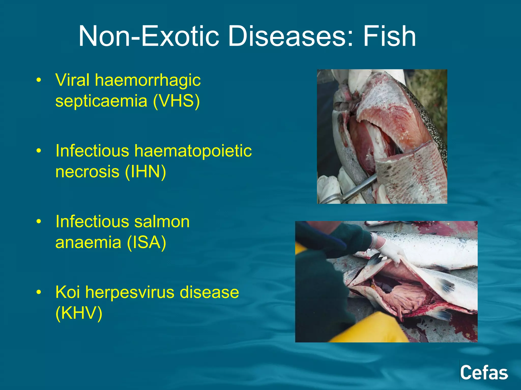 Aquatic Animal Health Directive and the Fish Health Inspectorate | PDF