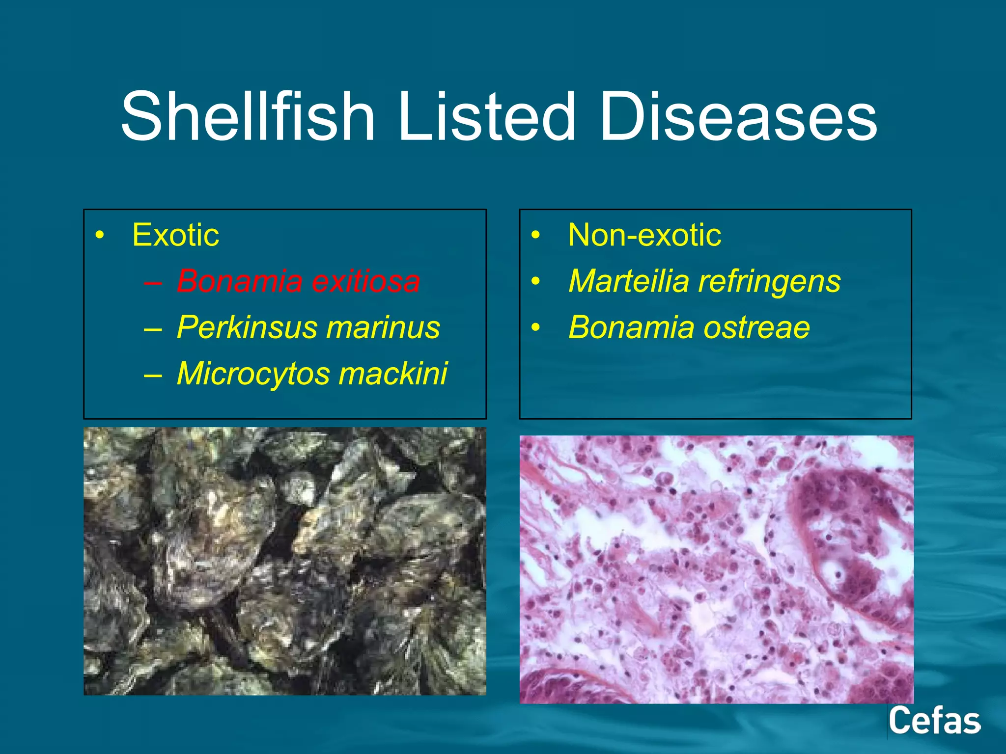 Aquatic Animal Health Directive and the Fish Health Inspectorate | PDF