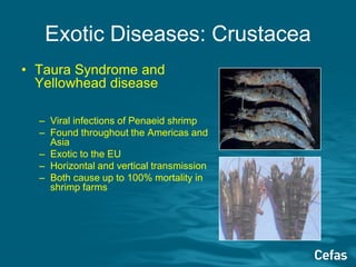 Aquatic Animal Health Directive and the Fish Health Inspectorate | PDF
