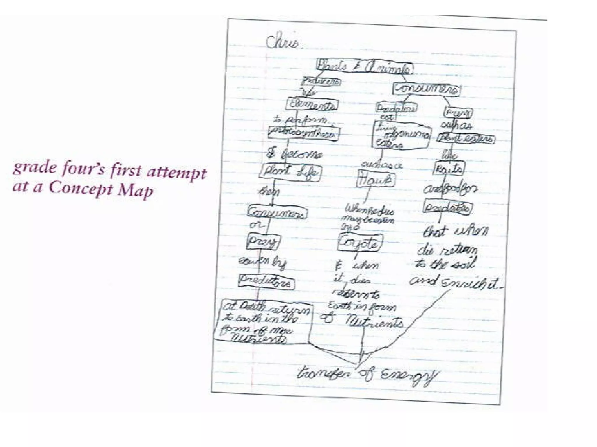 Examples of Graphic Organisers | PPT