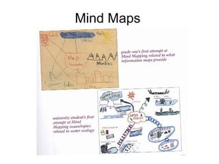 Examples of Graphic Organisers | PPT