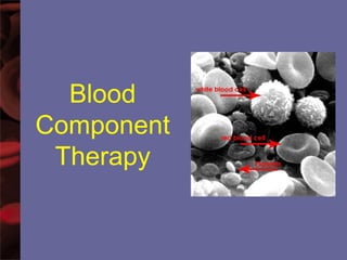 Blood Conservation | PPT