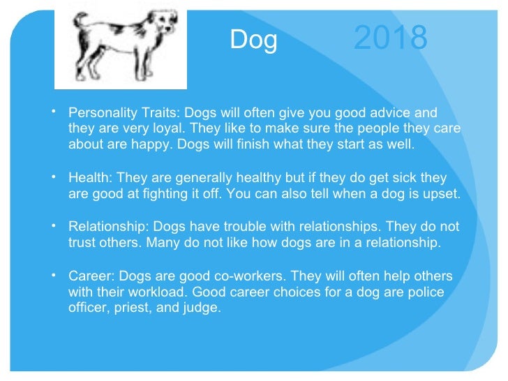 Chinese Sign Dog Traits