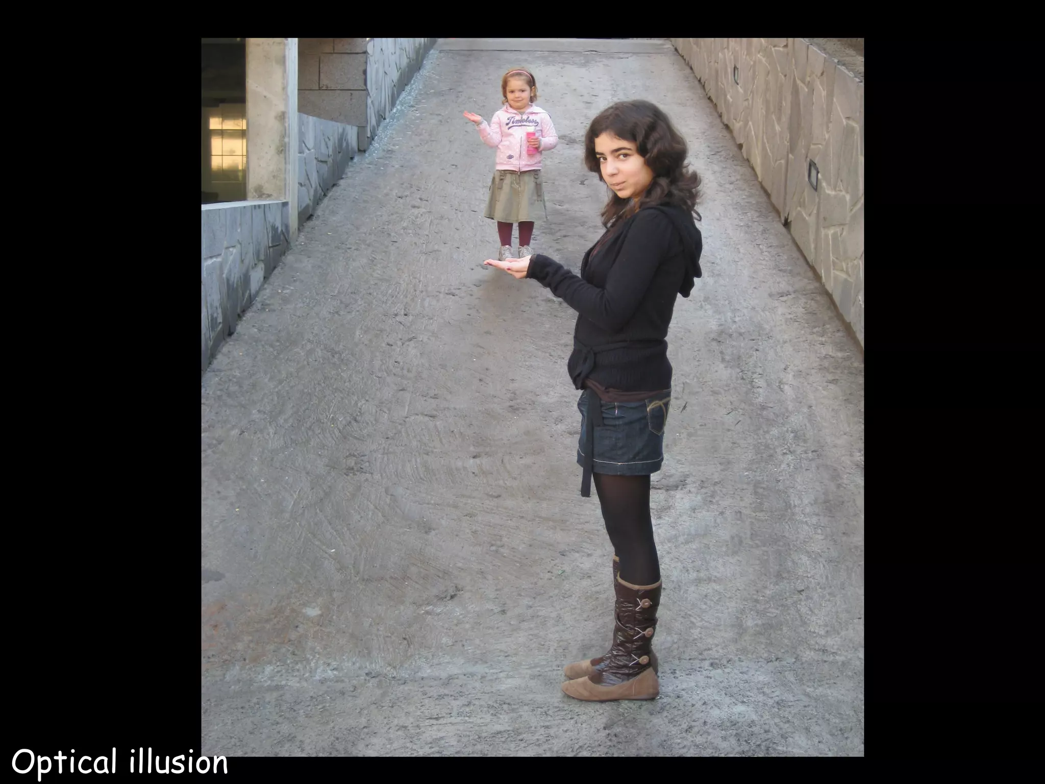 perspectives-sarahsousa | PPT