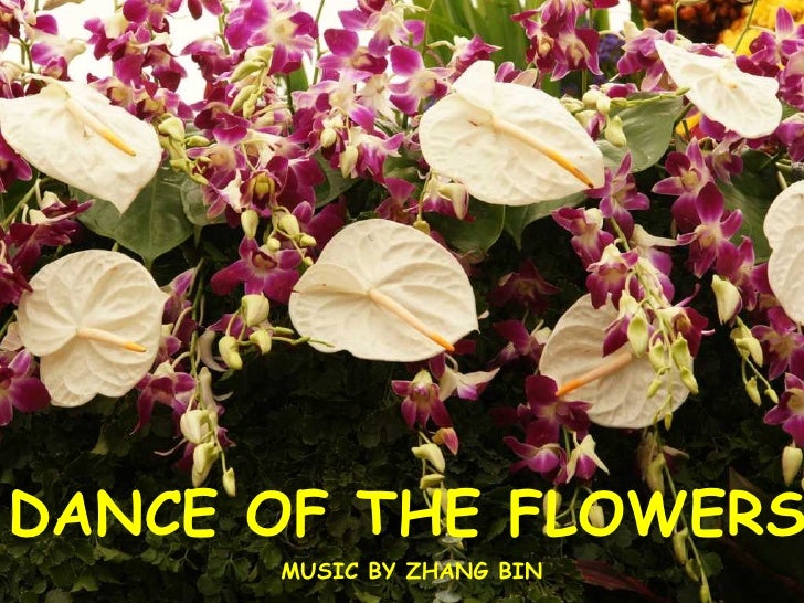 The Dance Flowers
