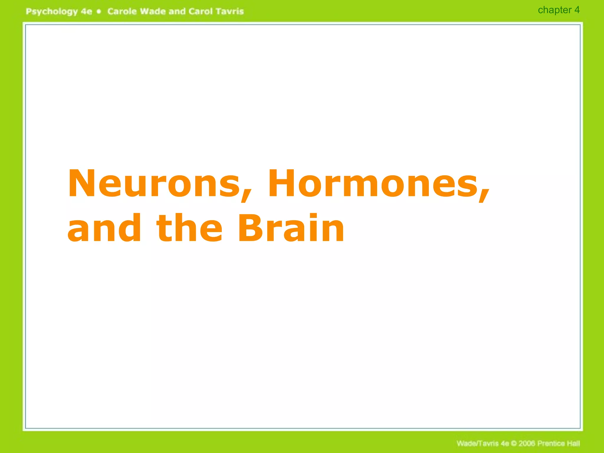 Brain Functions PowerPoint | PPT