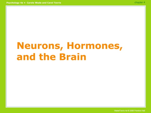 Brain Functions PowerPoint | PPT