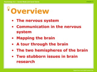 Brain Functions PowerPoint | PPT