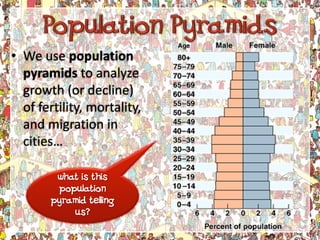 Understanding Population Pyramids | PDF
