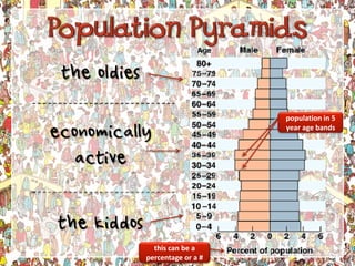 Understanding Population Pyramids | PDF