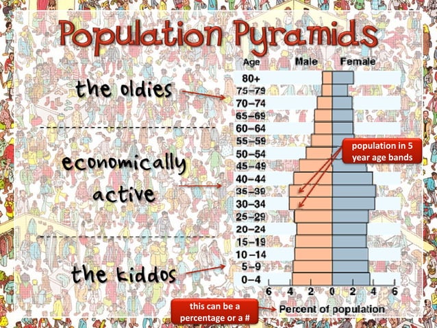 Understanding Population Pyramids | PDF