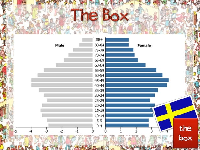 Understanding Population Pyramids | PDF