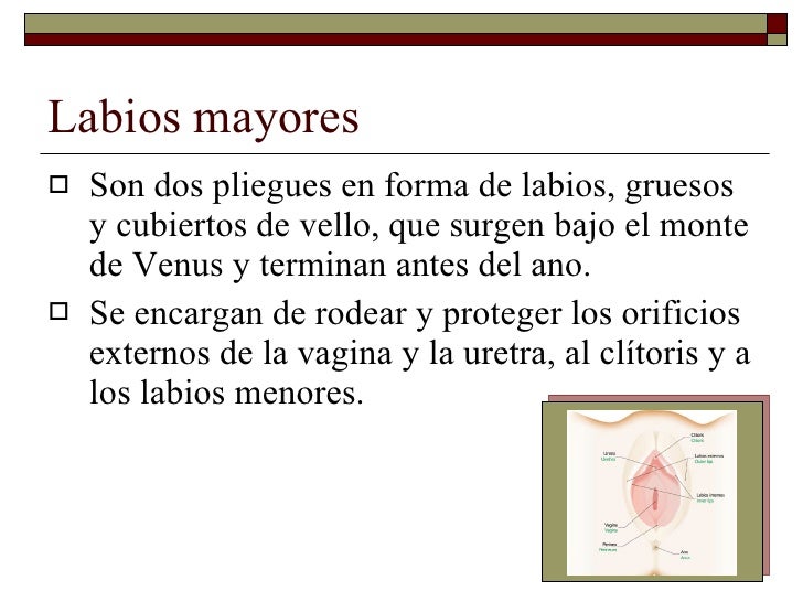 Sistema Reproductor Femenino