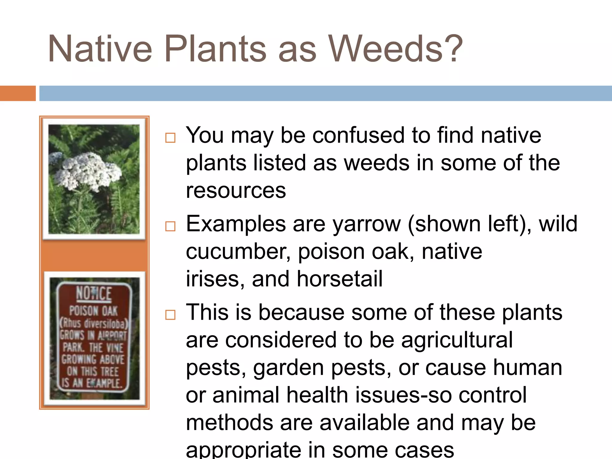 Weeds Training for Master Gardeners | PPTX