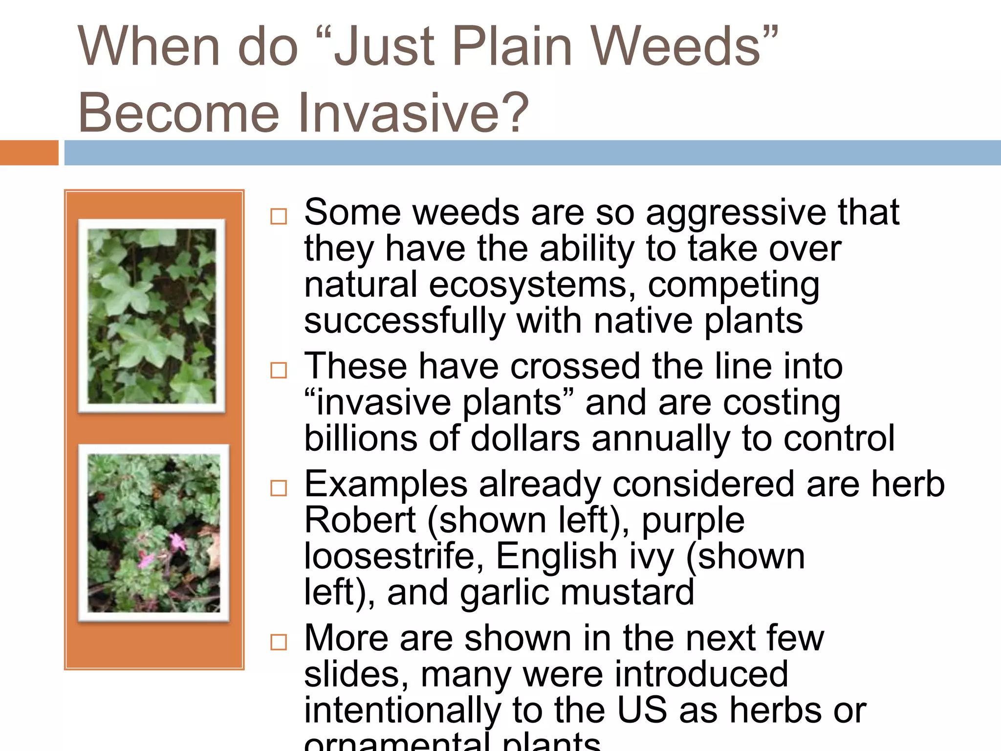 Weeds Training for Master Gardeners | PPTX