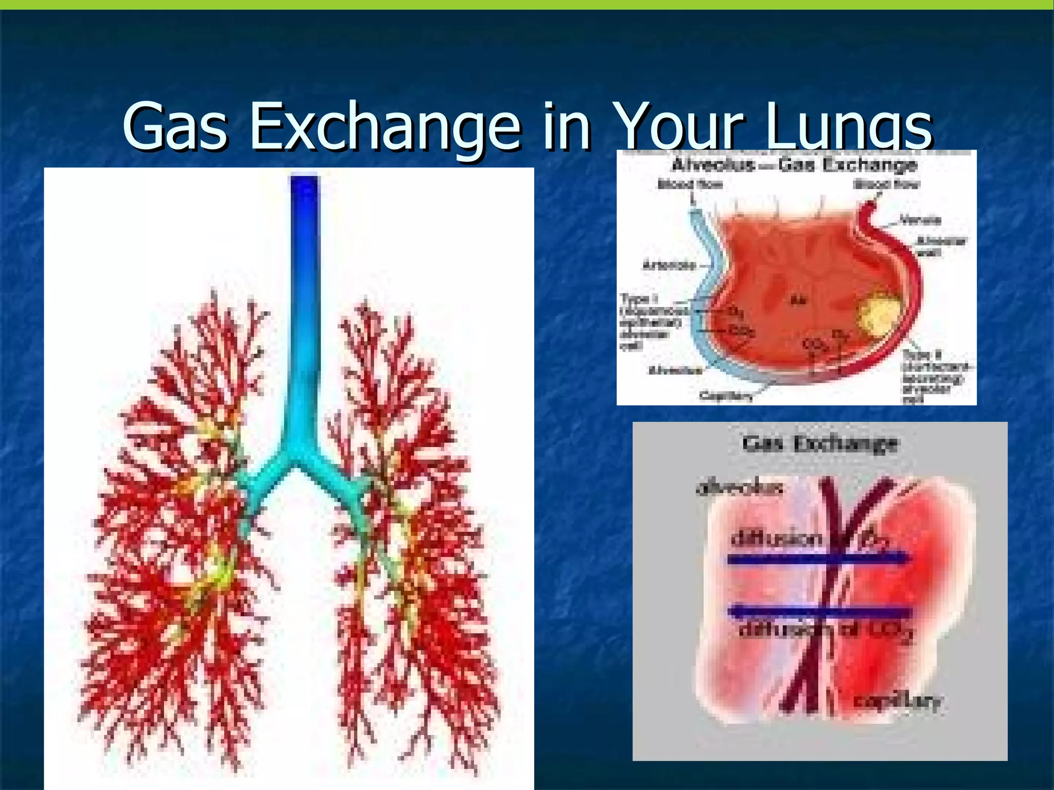 Cancer Powerpoint | PPT