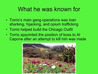 Crime in the 1930's | PPT