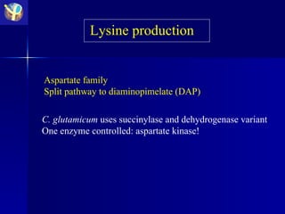 Lysine Production | PPT