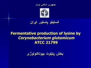 Lysine Production | PPT