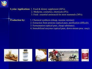 Lysine Production | PPT