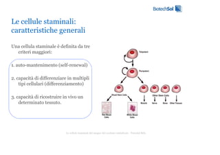 Cellule Staminali Del Cordone Ombelicale Biotech Sol | PPT