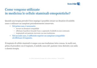 Cellule Staminali Del Cordone Ombelicale Biotech Sol | PPT