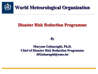 WMO - Disaster Risk Reduction Programme | PPT