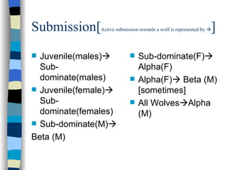 Grey Wolves | PPT