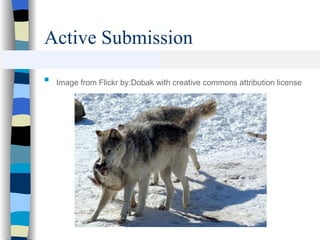 Grey Wolves | PPT