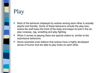 Grey Wolves | PPT