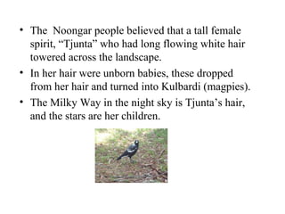 The Dreamtime Story Point Walter | PPT