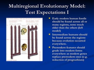 Recent African Origins or Regional Evolution? | PPT