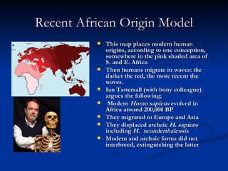 Recent African Origins or Regional Evolution? | PPT