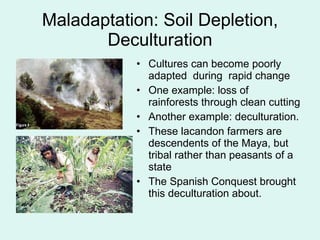 Defining Culture | PPT