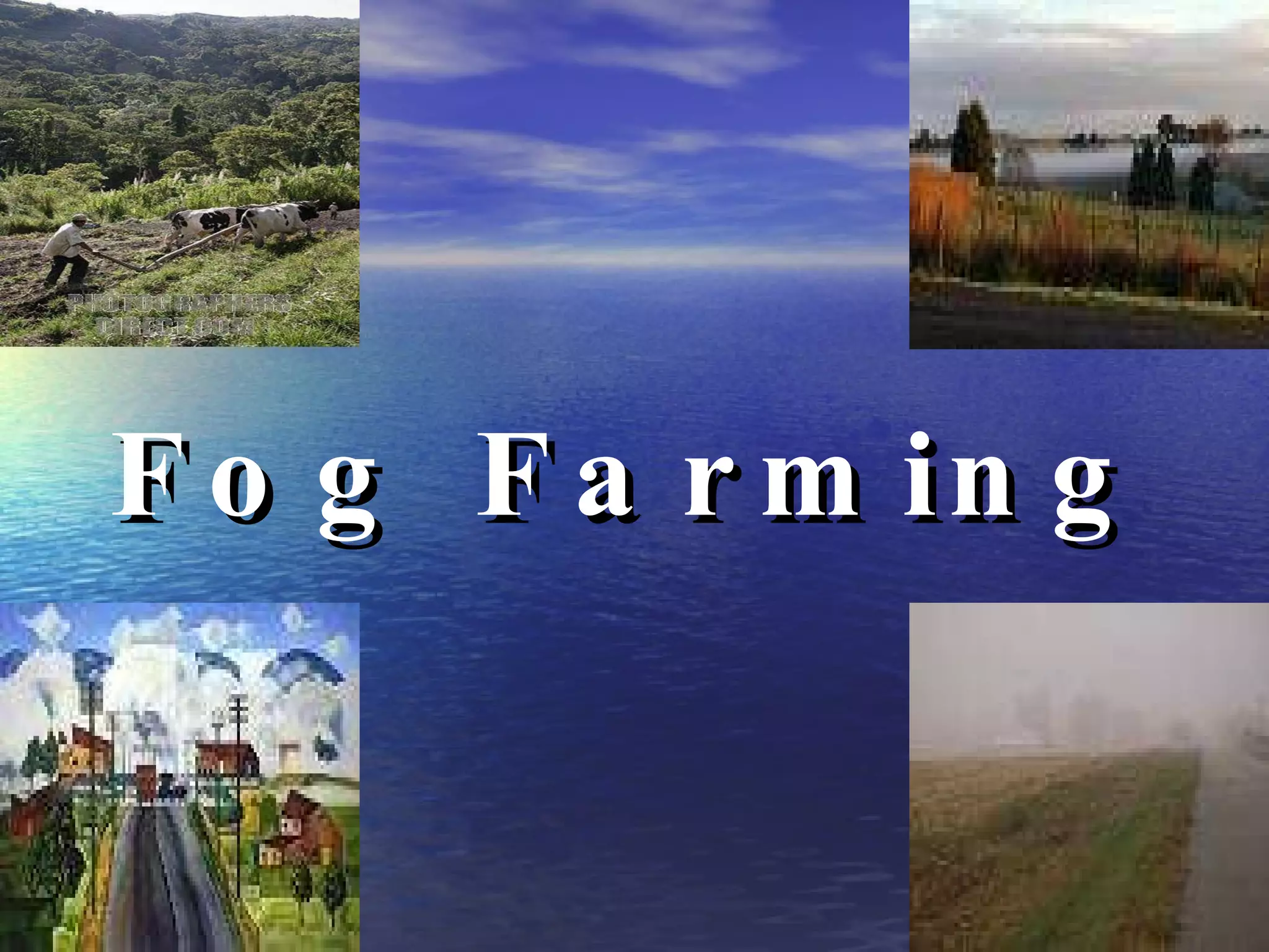 fog farming | PPT