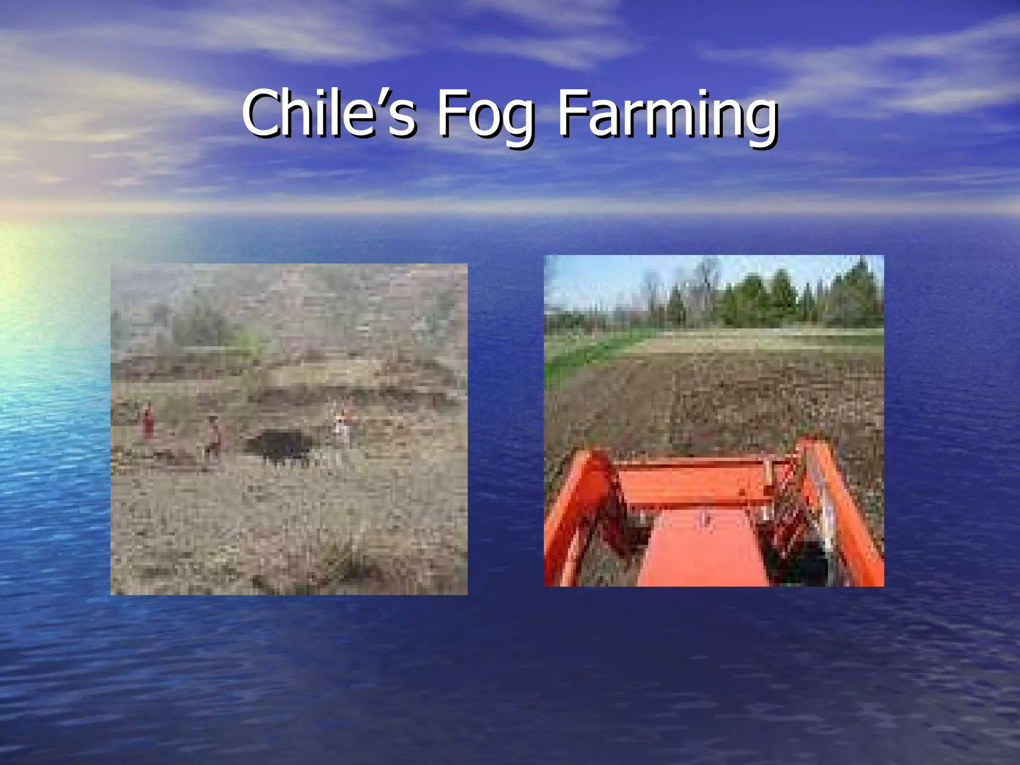 fog farming | PPT
