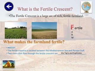 Mesopotamia and the Fertile Crescent | PPTX | Geography | Science