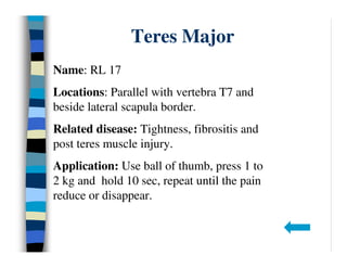 Titik Mata Urat di Bahu | PDF | Death, Injury, or Military Conflict ...