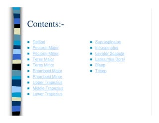 Titik Mata Urat di Bahu | PDF | Death, Injury, or Military Conflict ...