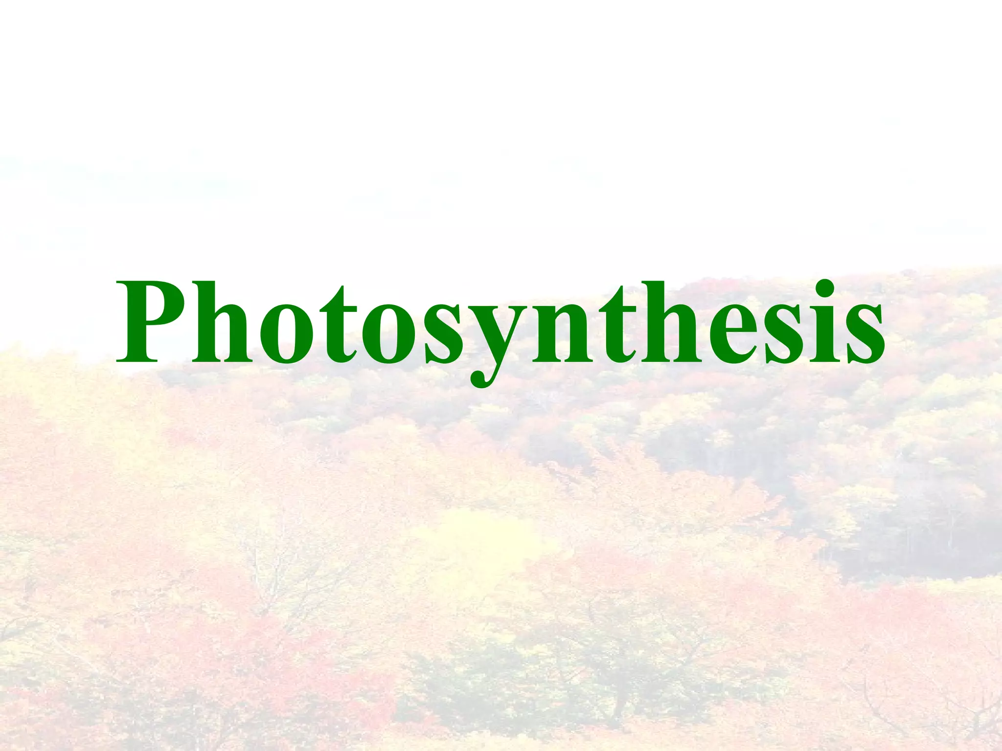 Photosynthesis | PPT