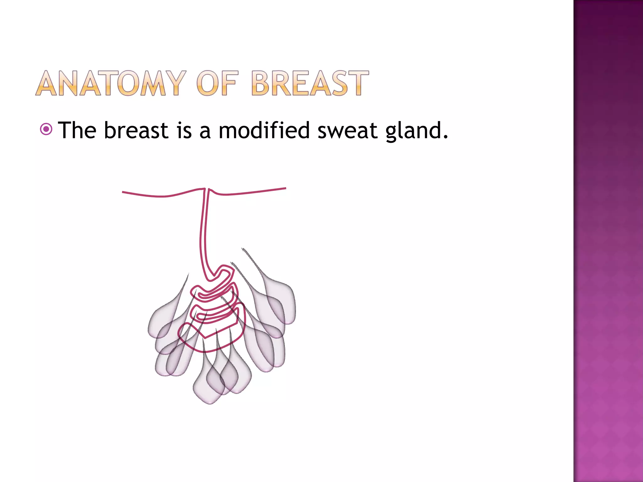 surgical anatomy of breast & management of advanced carcinoma breast | PPT