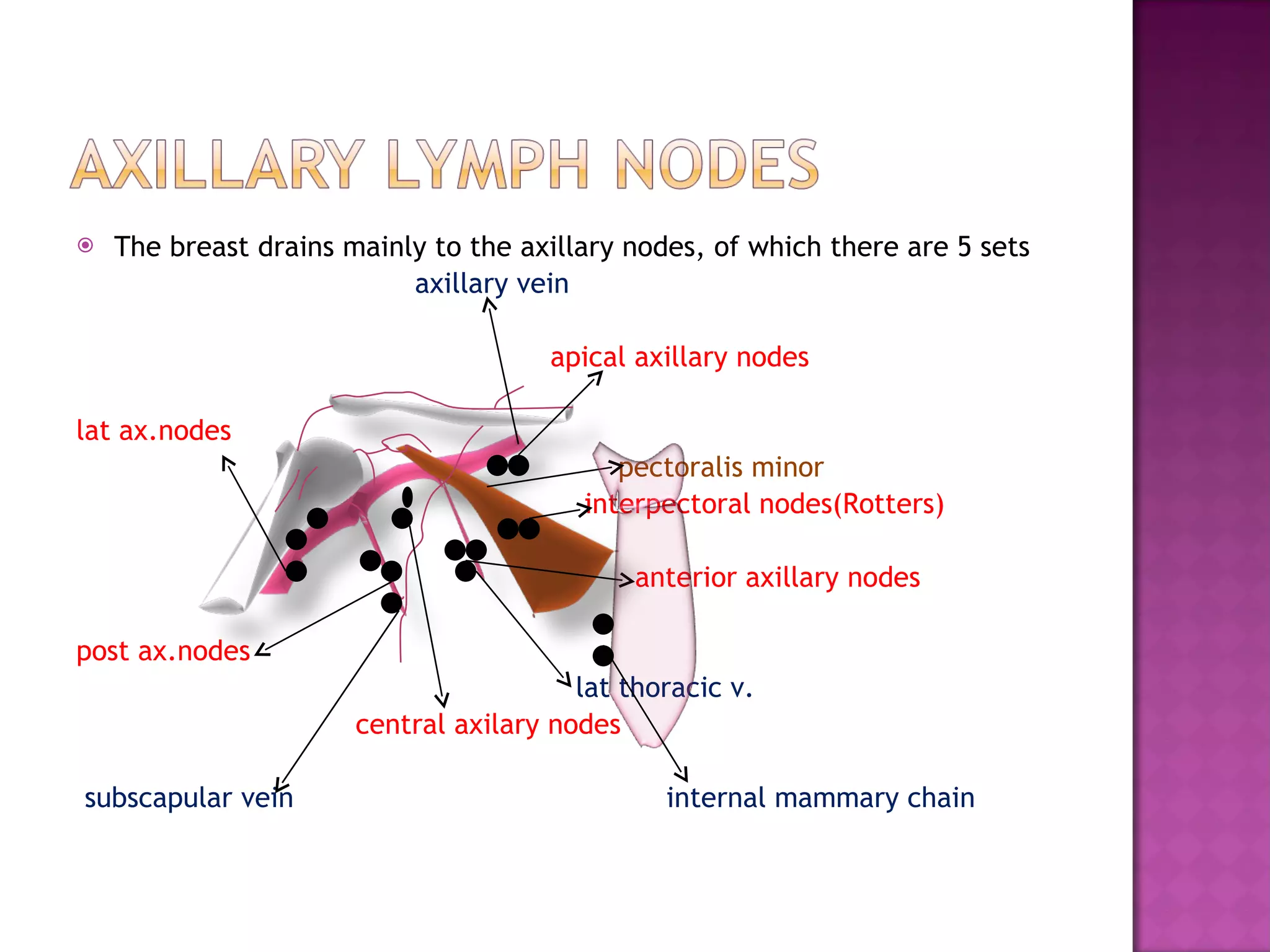 surgical anatomy of breast & management of advanced carcinoma breast | PPT