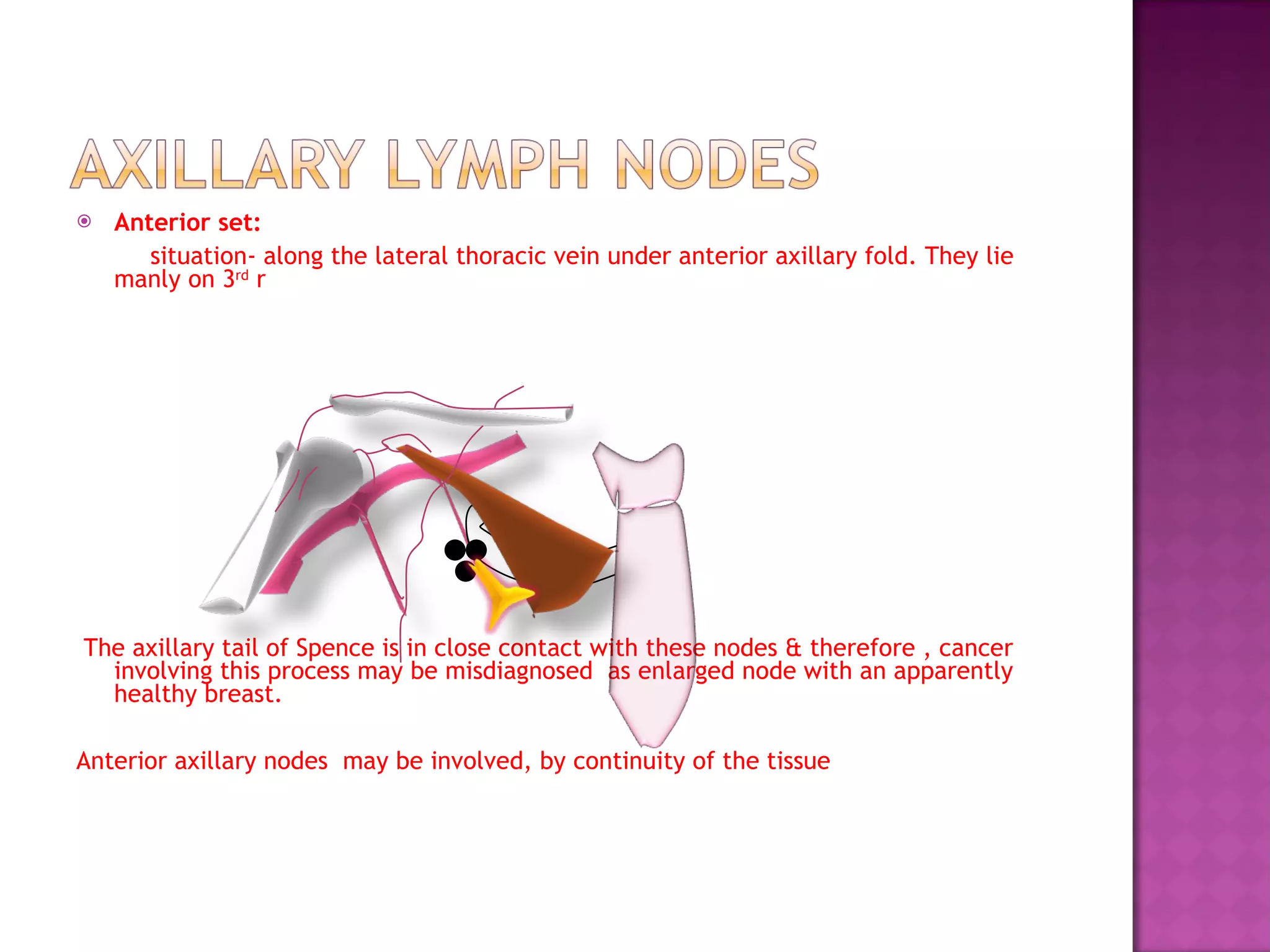 surgical anatomy of breast & management of advanced carcinoma breast | PPT