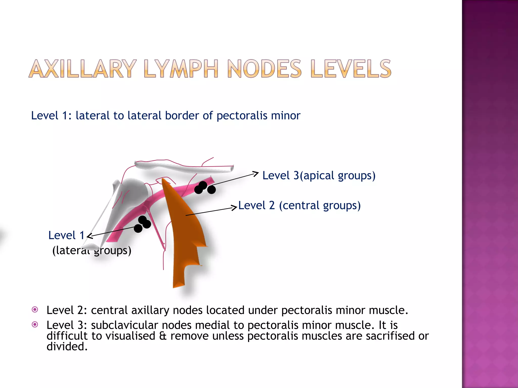 surgical anatomy of breast & management of advanced carcinoma breast | PPT