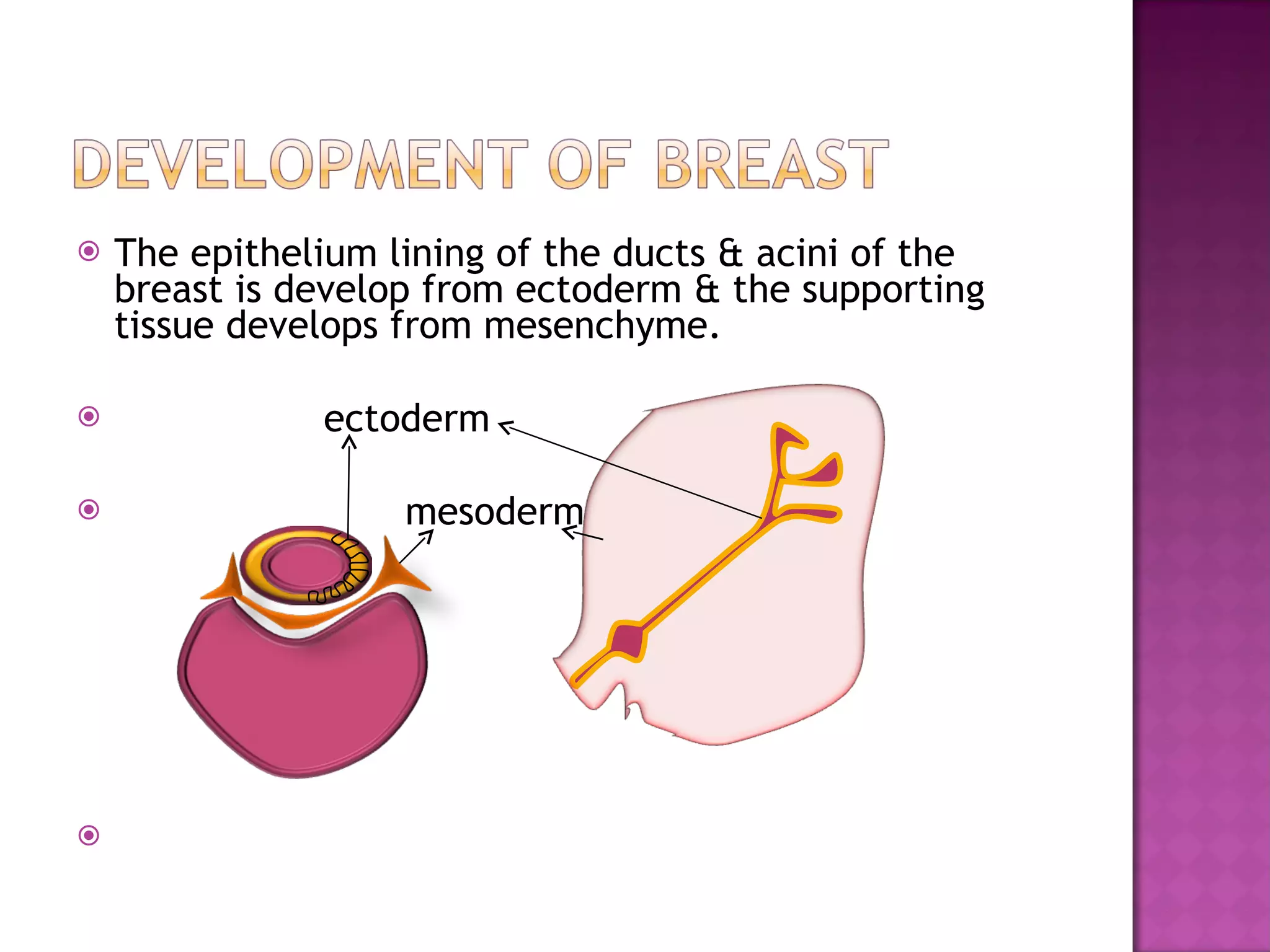 surgical anatomy of breast & management of advanced carcinoma breast | PPT