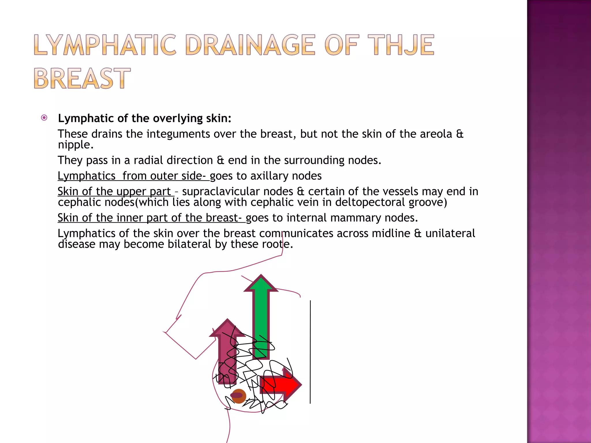 surgical anatomy of breast & management of advanced carcinoma breast | PPT