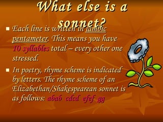 SONNET | PPT